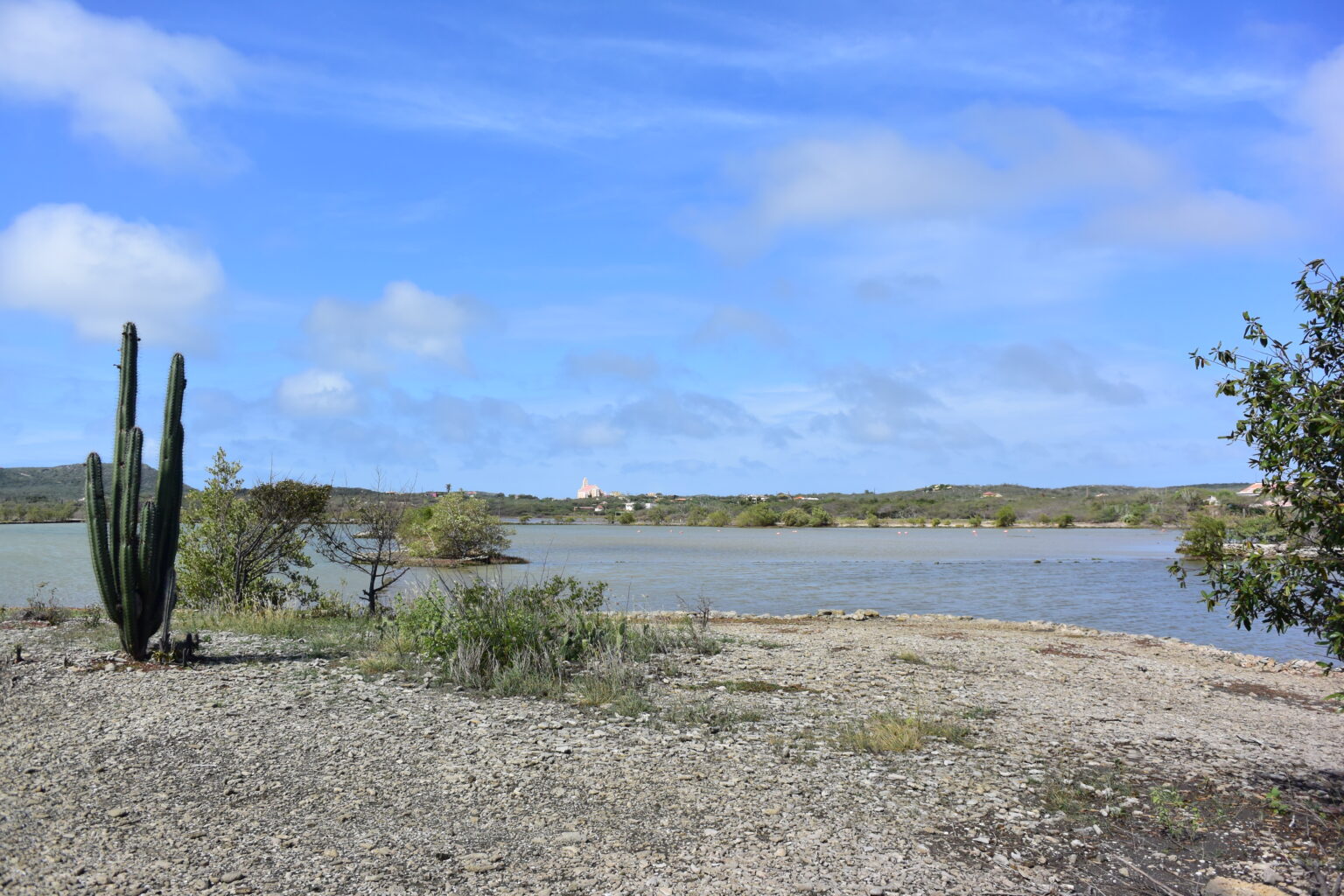 Learn Papiamentu With Our Free Guide - Exploring Curaçao