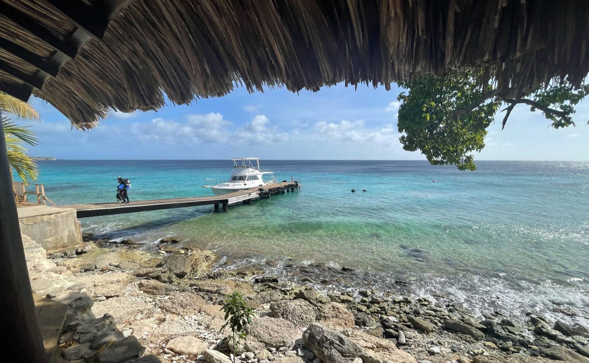 The Best Beach For Swimming With Sea Turtles in Curaçao