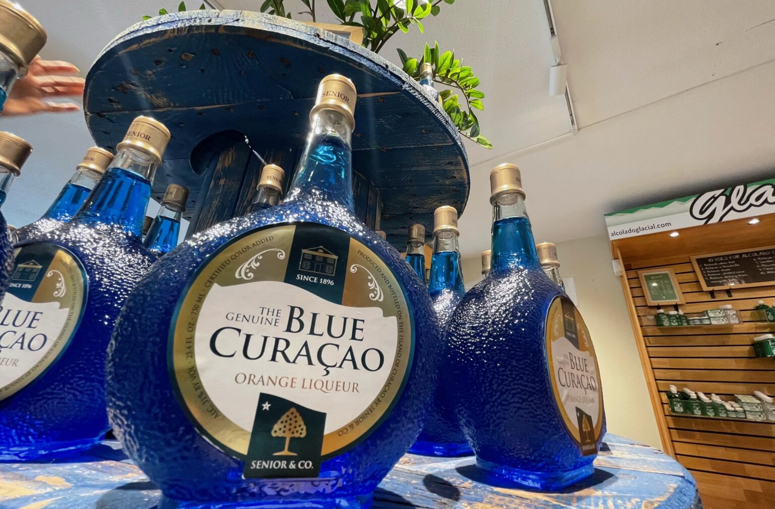 15 Budget-friendly Things To Do in Curaçao