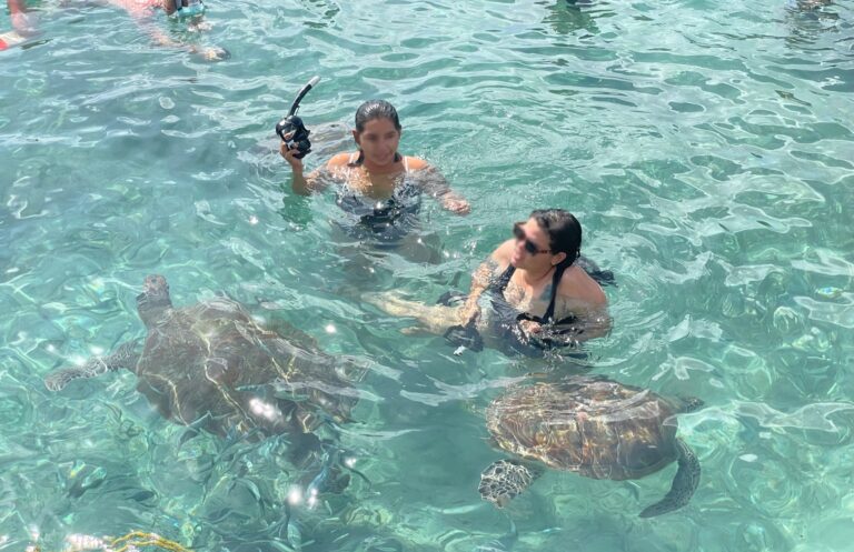 The Best Beach For Swimming With Sea Turtles in Curaçao