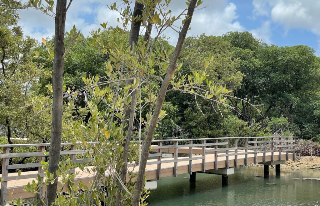 Curaçao Island Guide for First-time Visitors - Exploring Curaçao