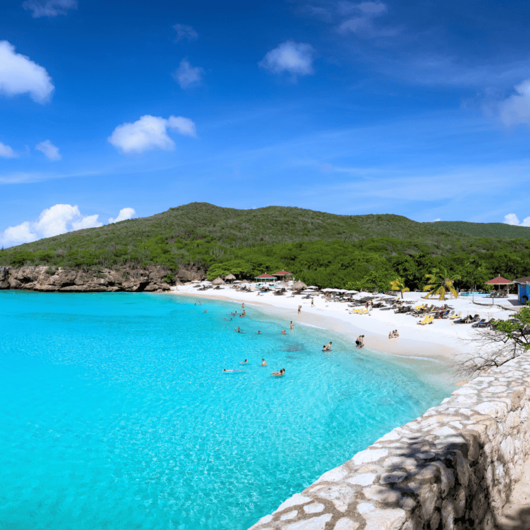 The Best Beach For Swimming With Sea Turtles in Curaçao
